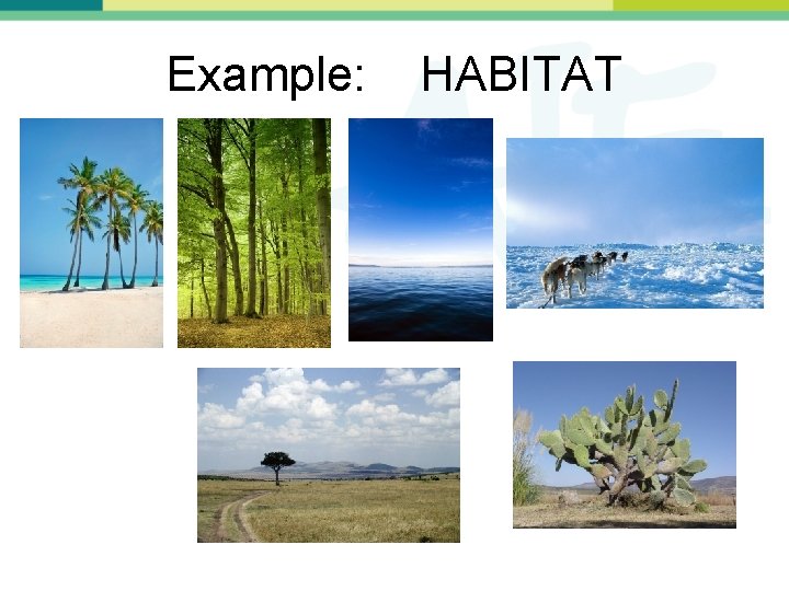 Using Academic Vocabulary Strategies to Increase Student Achievement