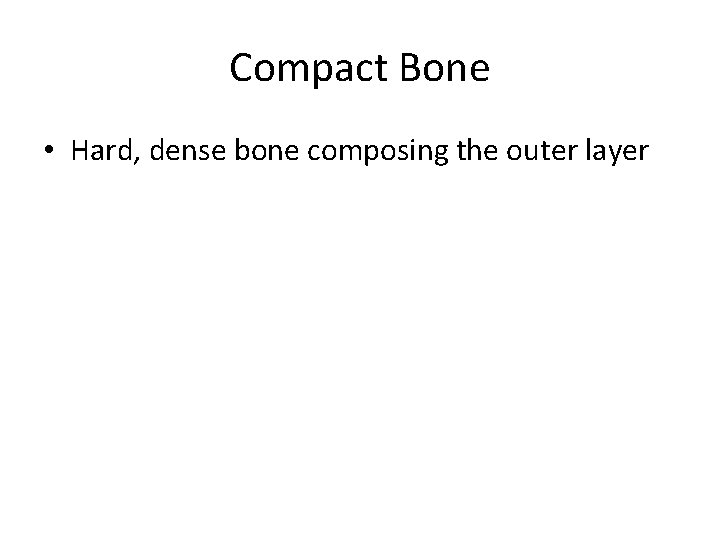The Skeletal System The Skeleton Function Supports the