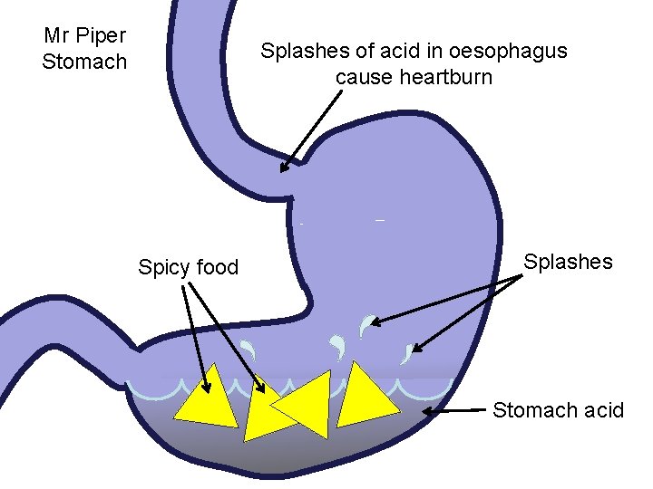 Stomach Acid Remember in form 2 you learnt