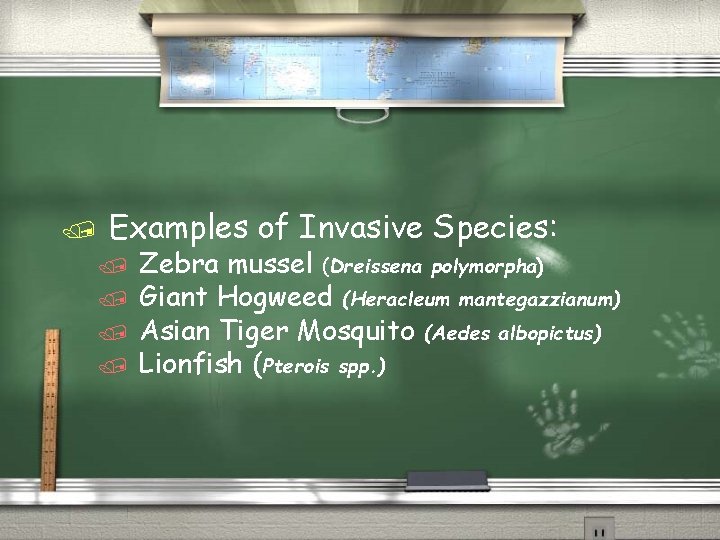 What is an invasive species Exotic Species are