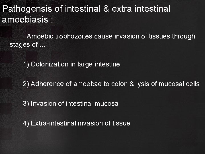 E Histolytica Pathogenesis pathology E Histolytica can effect