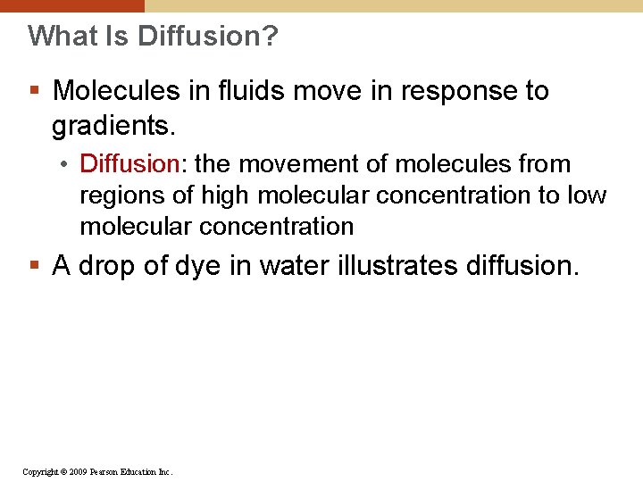 What Does The Plasma Membrane Do The cell