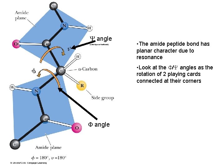 Fig 3 13 Reproduced from Biochemistry by T