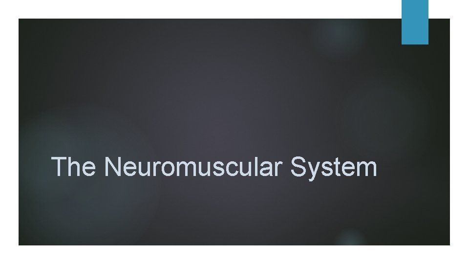 The Neuromuscular System Pre Task Write down a