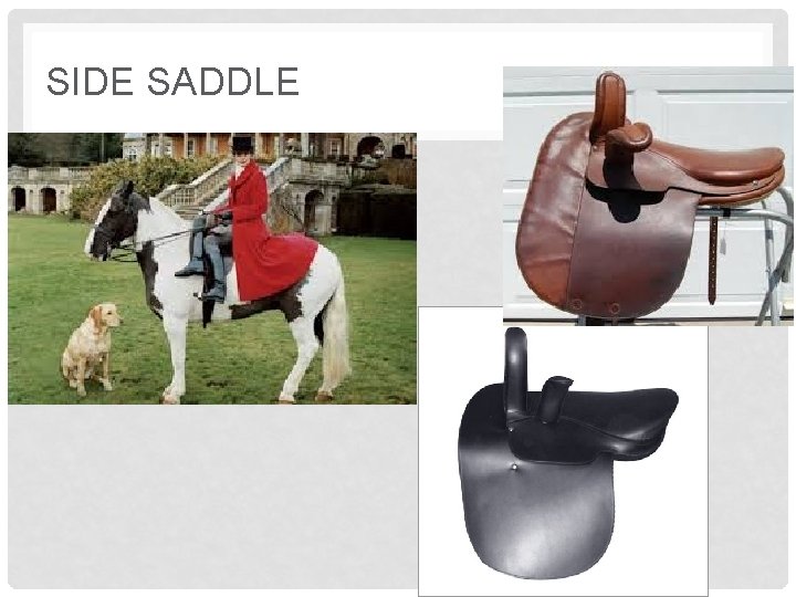 ENGLISH SADDLES EQUINE SCIENCE 1 Pommel Twist Seat