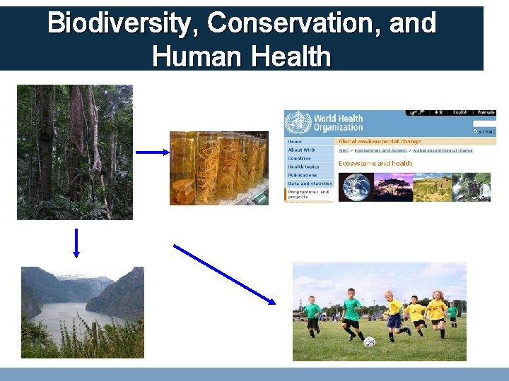 Biodiversity Conservation and Human Health Health and Biodiversity
