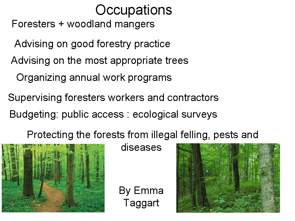 Sustainable Forests Introduction Trees have always been important