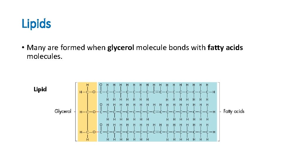 Biology Lesson Overview Topic Macromolecules Learning target I