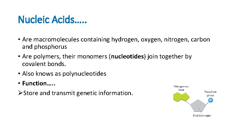 Biology Lesson Overview Topic Macromolecules Learning target I