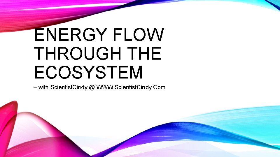 ENERGY FLOW THROUGH THE ECOSYSTEM with Scientist Cindy