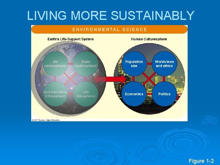 Chapter 1 Environmental Problems Their Causes and Sustainability