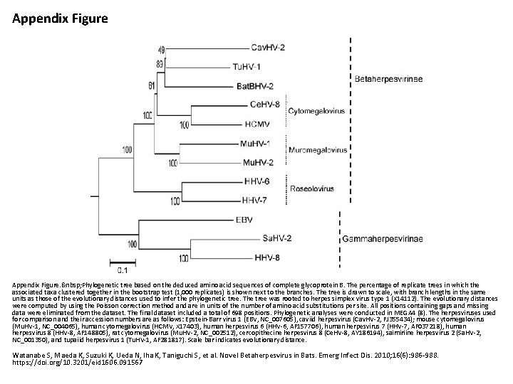 Appendix Figure nbsp Phylogenetic tree based on the