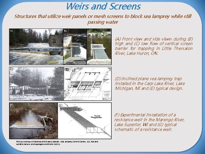 Existing vs Purposebuilt Barriers for Sea Lamprey Control