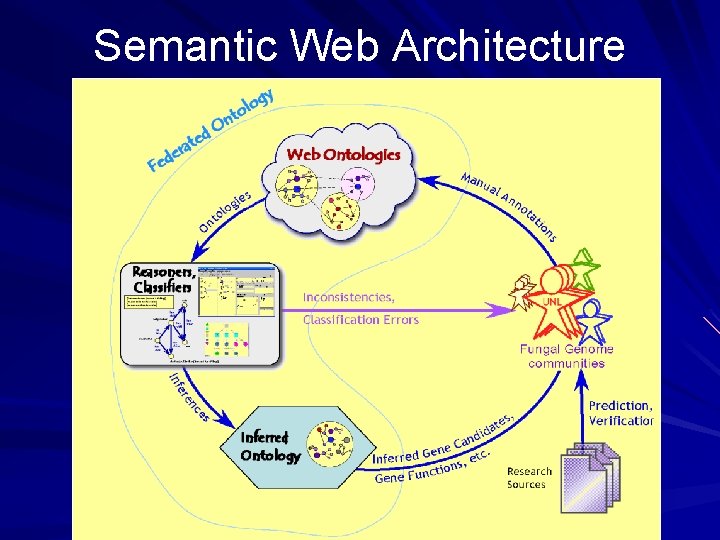Fungal Semantic Web Stephen Scott Scott Henninger LeenKiat