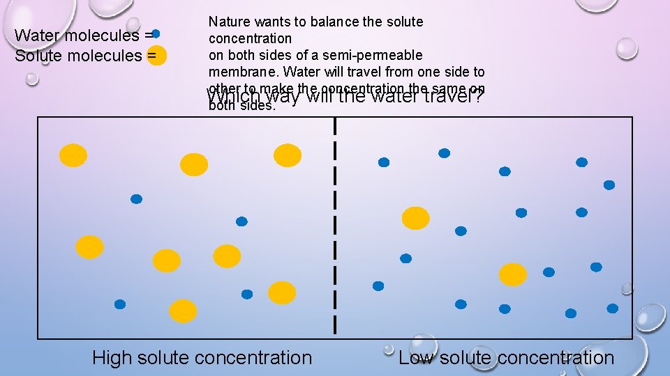 4 1 CELL BIOLOGY LESSON 8 Baseline flightpath