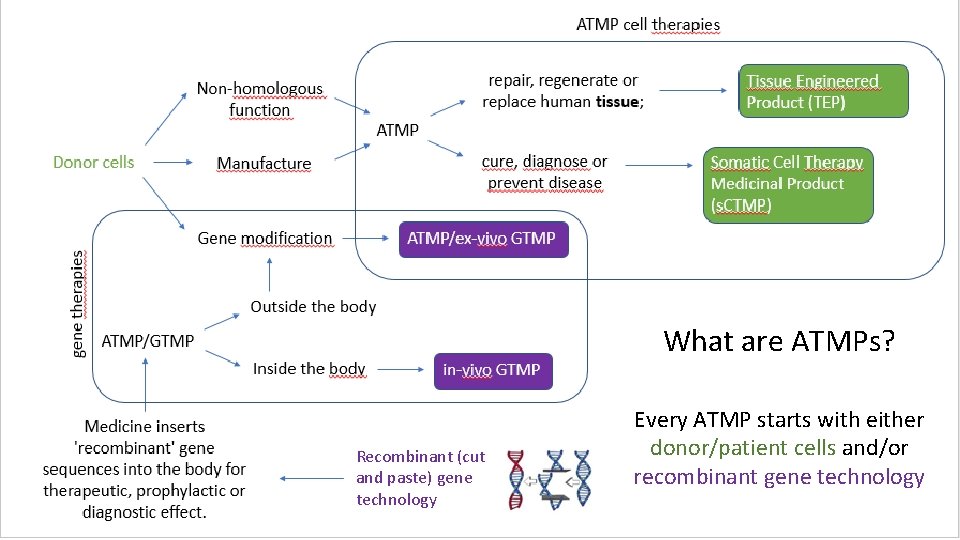 New generation pharmaceuticals based on cells gene therapy