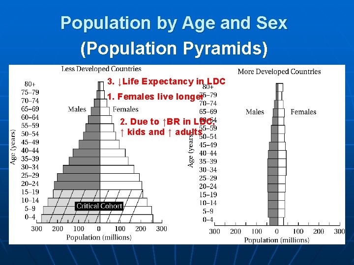 AEB 4283 International Development Policy Part II Week