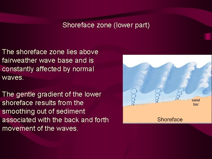 Coasts and Reefs Shallow marine processes Coastal System