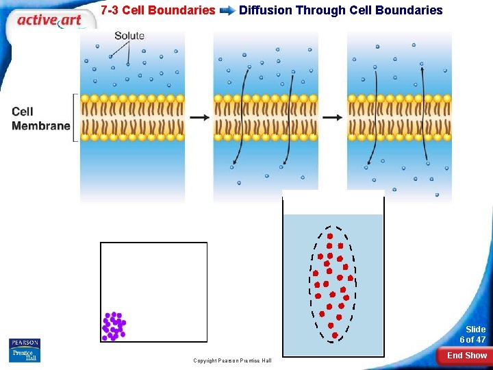 Vocabulary Concentration Gradient When you have an area