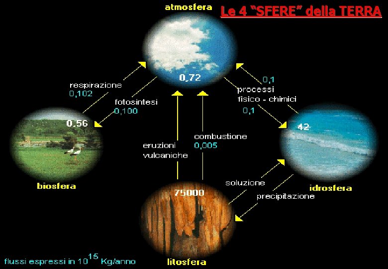 SCIENZE INTEGRATE LEZIONE N 1 slide N 31