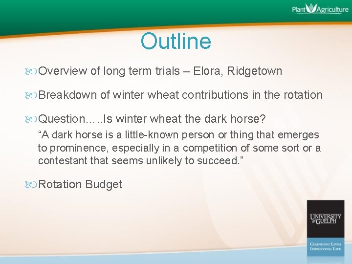 Crop Rotations Is Winter Wheat the Dark Horse
