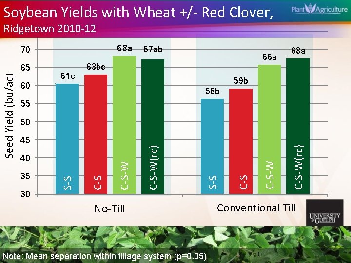 Crop Rotations Is Winter Wheat the Dark Horse