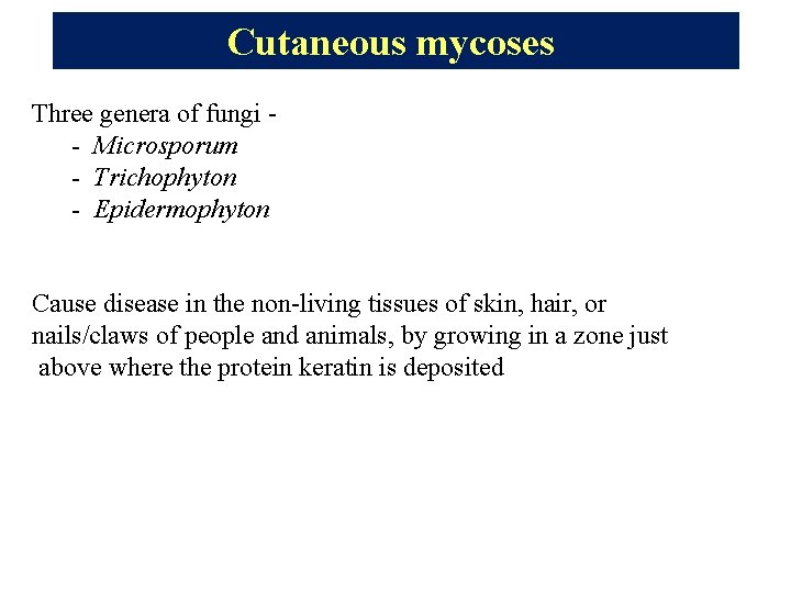 Mycotic Infections Mycotic Infections The fungi represent a