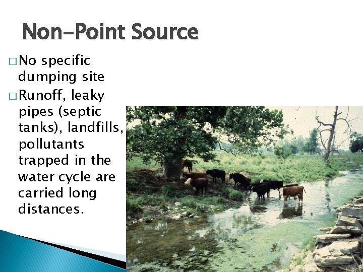 Water Quality Think for a few moments about