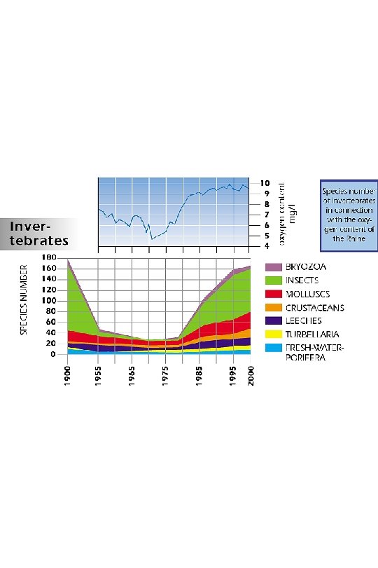 River basin management The Rhine experience Henk Sterk
