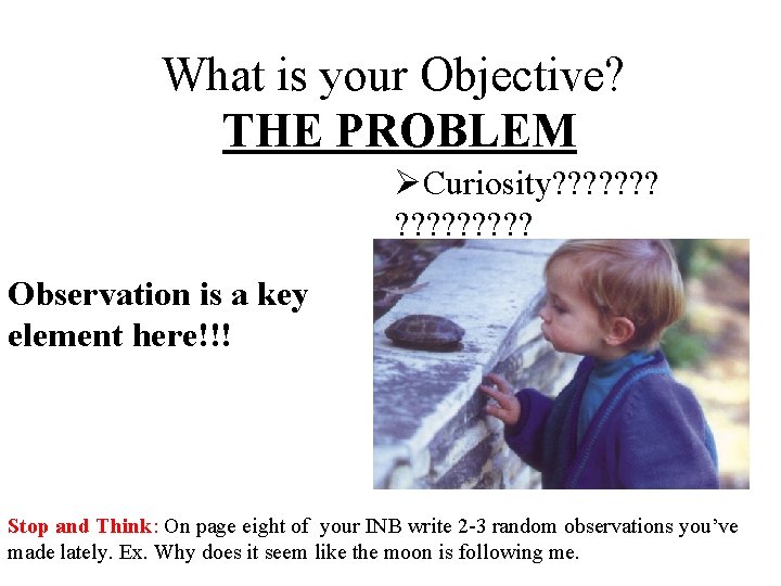 What is your Objective THE PROBLEM Curiosity Observation