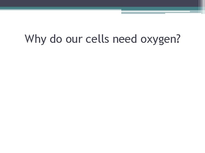 The Respiratory System SBI 3 UI The Respiratory