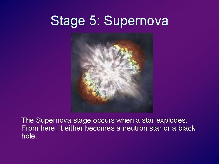 The Life of a Massive Star By The