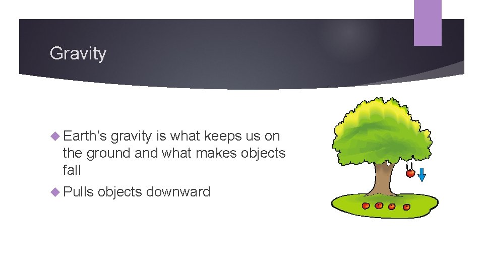 Forces Motion Vocabulary BEVERLY HILLS ELEMENTARY 5 TH