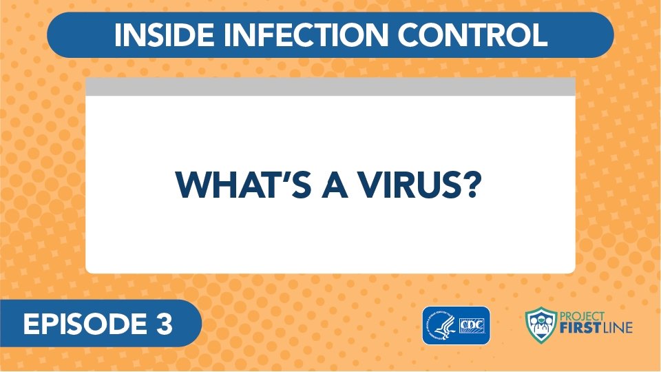 Topic 2 The Basic Science of Viruses Date