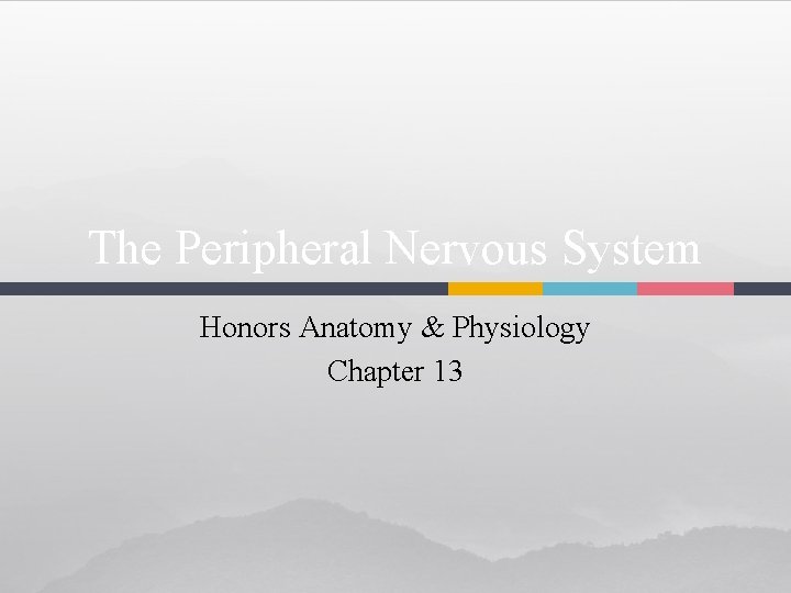 The Peripheral Nervous System Honors Anatomy Physiology Chapter