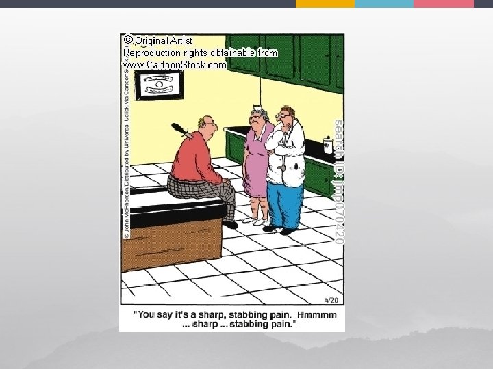 The Peripheral Nervous System Honors Anatomy Physiology Chapter