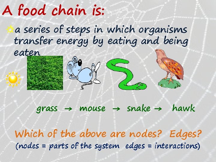 ENERGY Flow Through Ecosystems Energy At the core