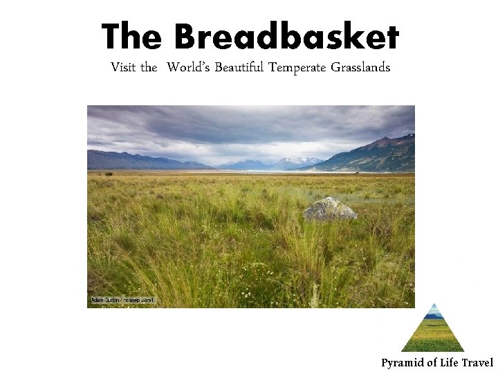 The Breadbasket Visit the Worlds Beautiful Temperate Grasslands