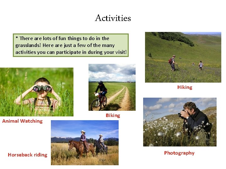 The Breadbasket Visit the Worlds Beautiful Temperate Grasslands
