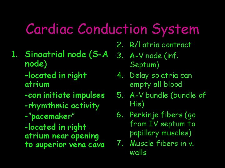Cardiovascular System How much blood does the heart