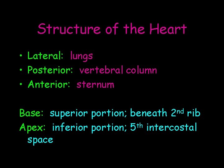 Cardiovascular System How much blood does the heart