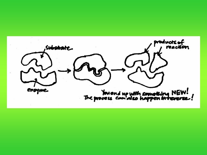 Digestion Clip by Brainpop Nutrients Are substances in