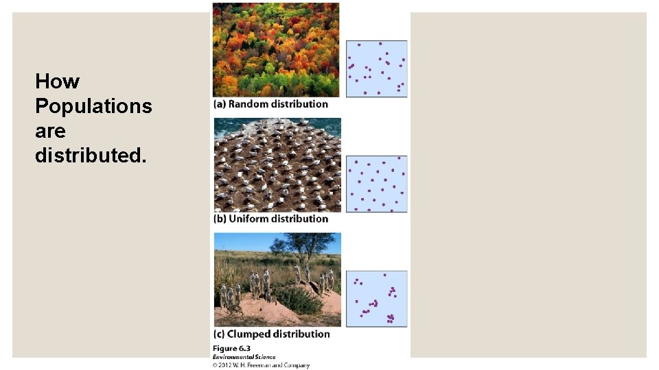 101 Population Characteristics CH 6 Obj TSW identify