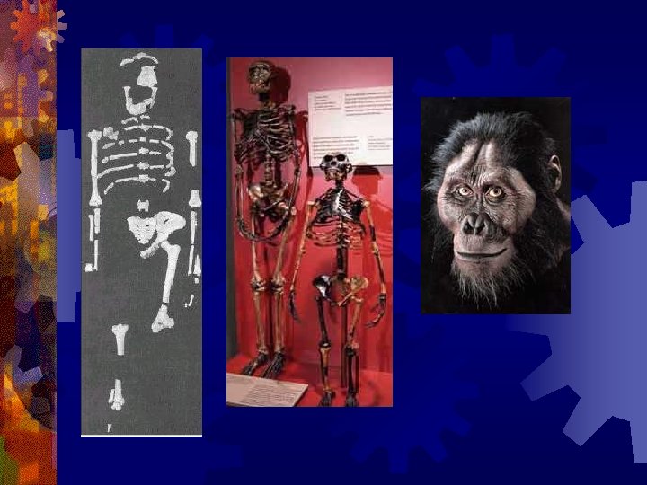 Early Man Prehistorybefore writing Historystudy of written records