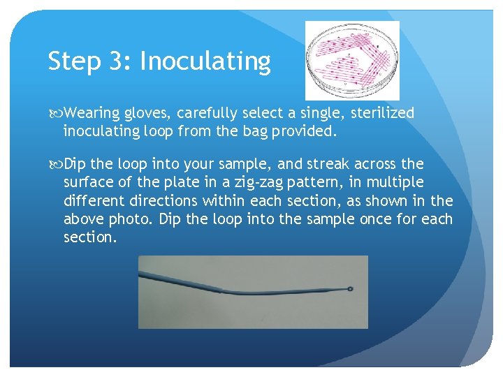 How to use Agar Sense culture plates With