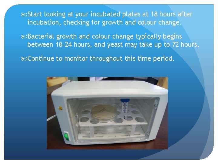How to use Agar Sense culture plates With