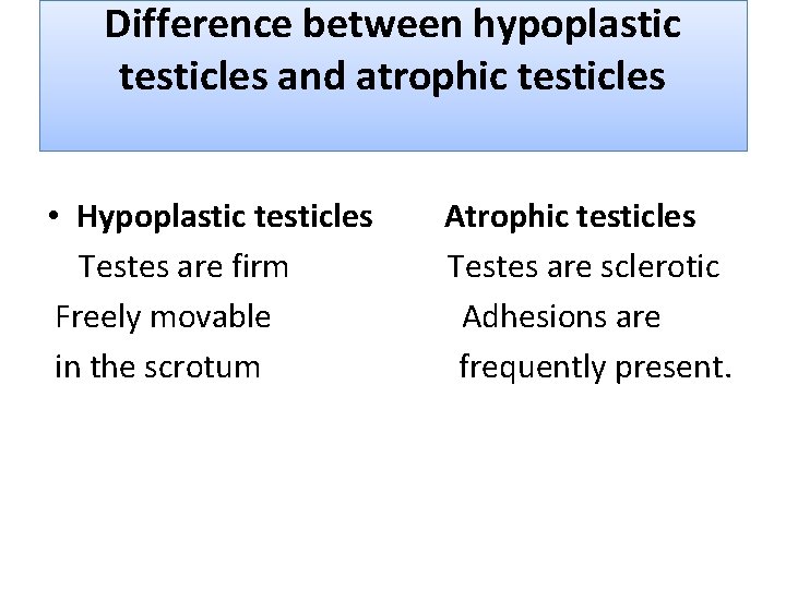 Testicular Hypoplasia and Testicular Degeneration Prepared by Dr