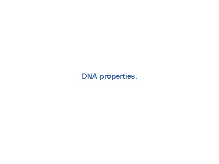 DNA properties Sugarphosphate backbones form ridges on edges