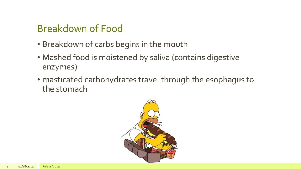 Lesson 32 The Breakdown of Food Subtitle Activator