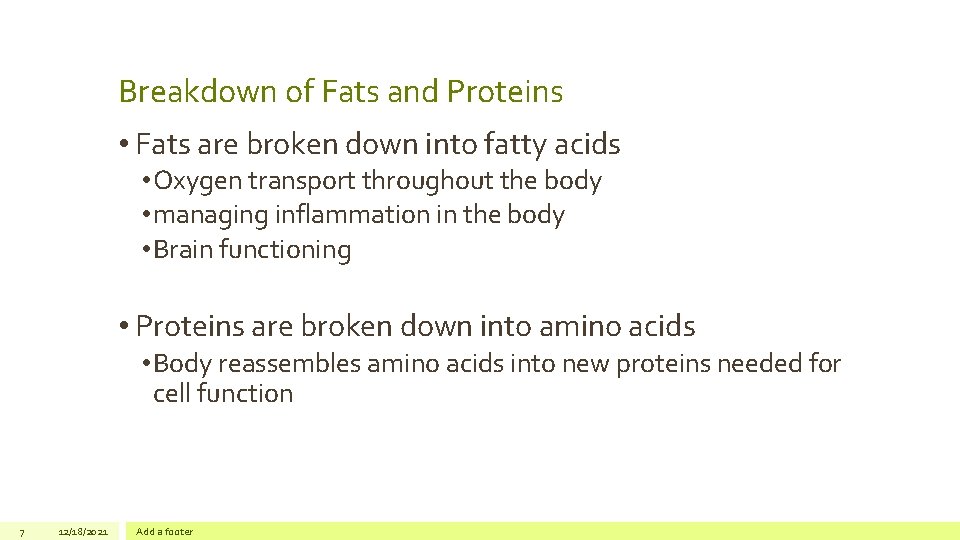 Lesson 32 The Breakdown of Food Subtitle Activator